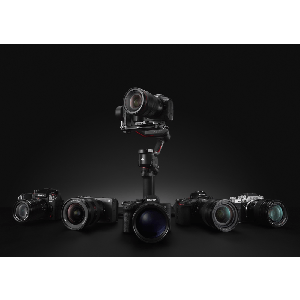 Gimbal DJI Ronin RS 3 Combo - WorldView