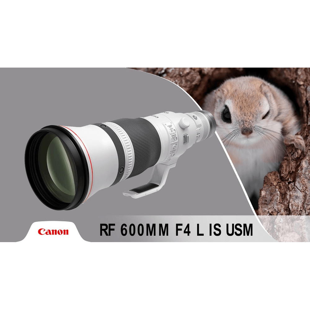 Canon RF 600mm f/4L IS USM - WorldView