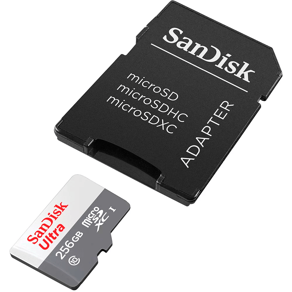 MicroSDXC 256GB SanDisk Ultra - WorldView