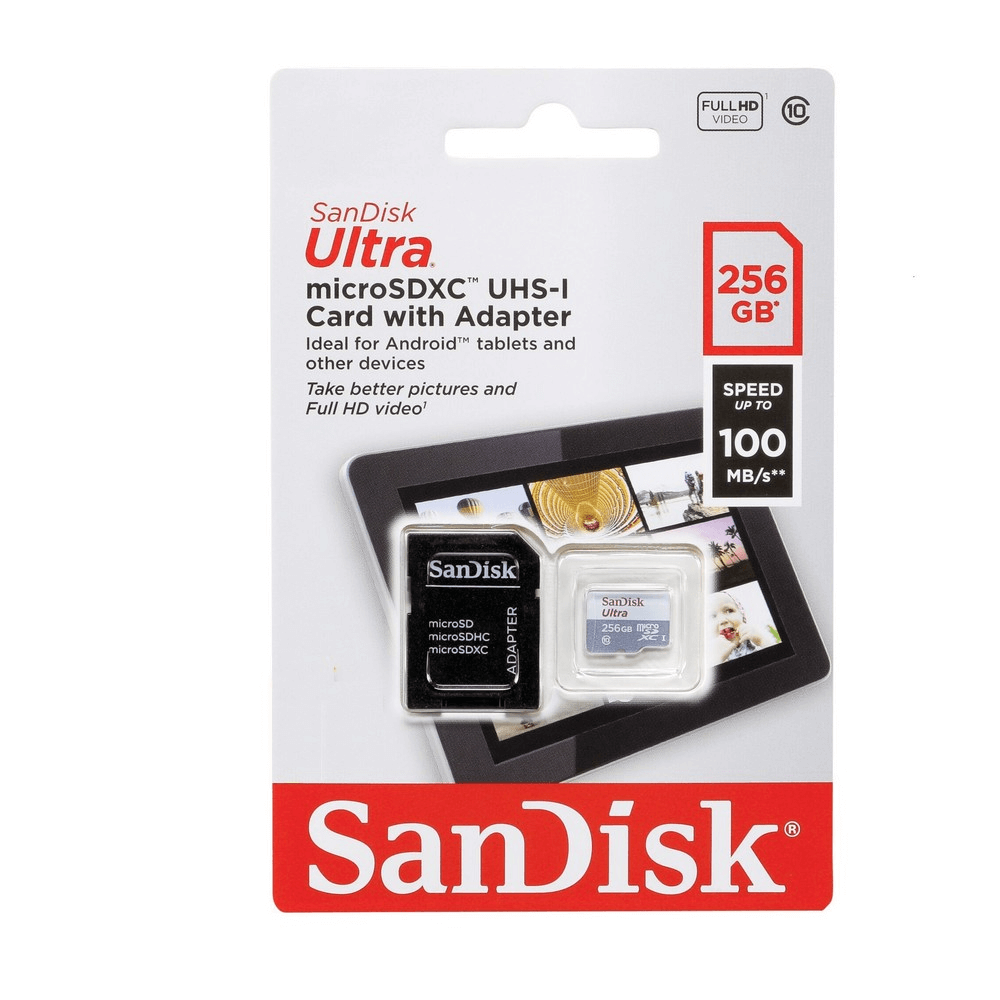 MicroSDXC 256GB SanDisk Ultra - WorldView